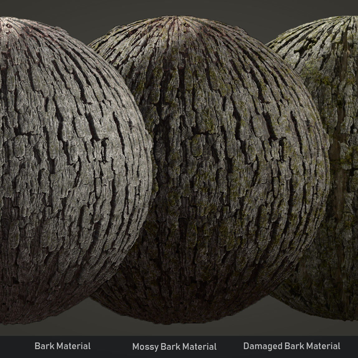ArtStation - Clean / Mossy / Damaged Bark Material