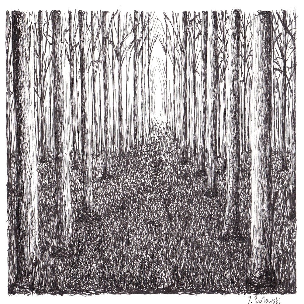 ArtStation - Path in the forest