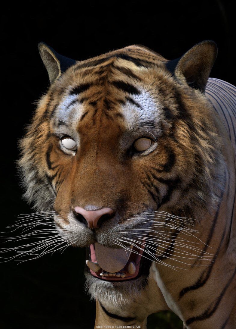 ArtStation - Autodesk maya muscle, tiger walkcycle