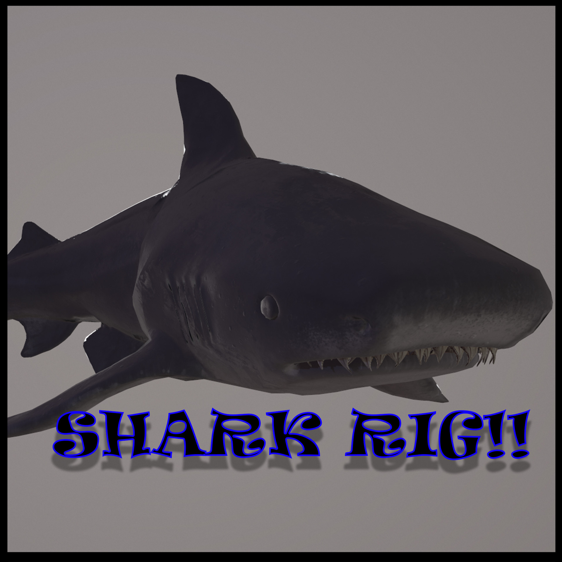 ArtStation - Shark Rig
