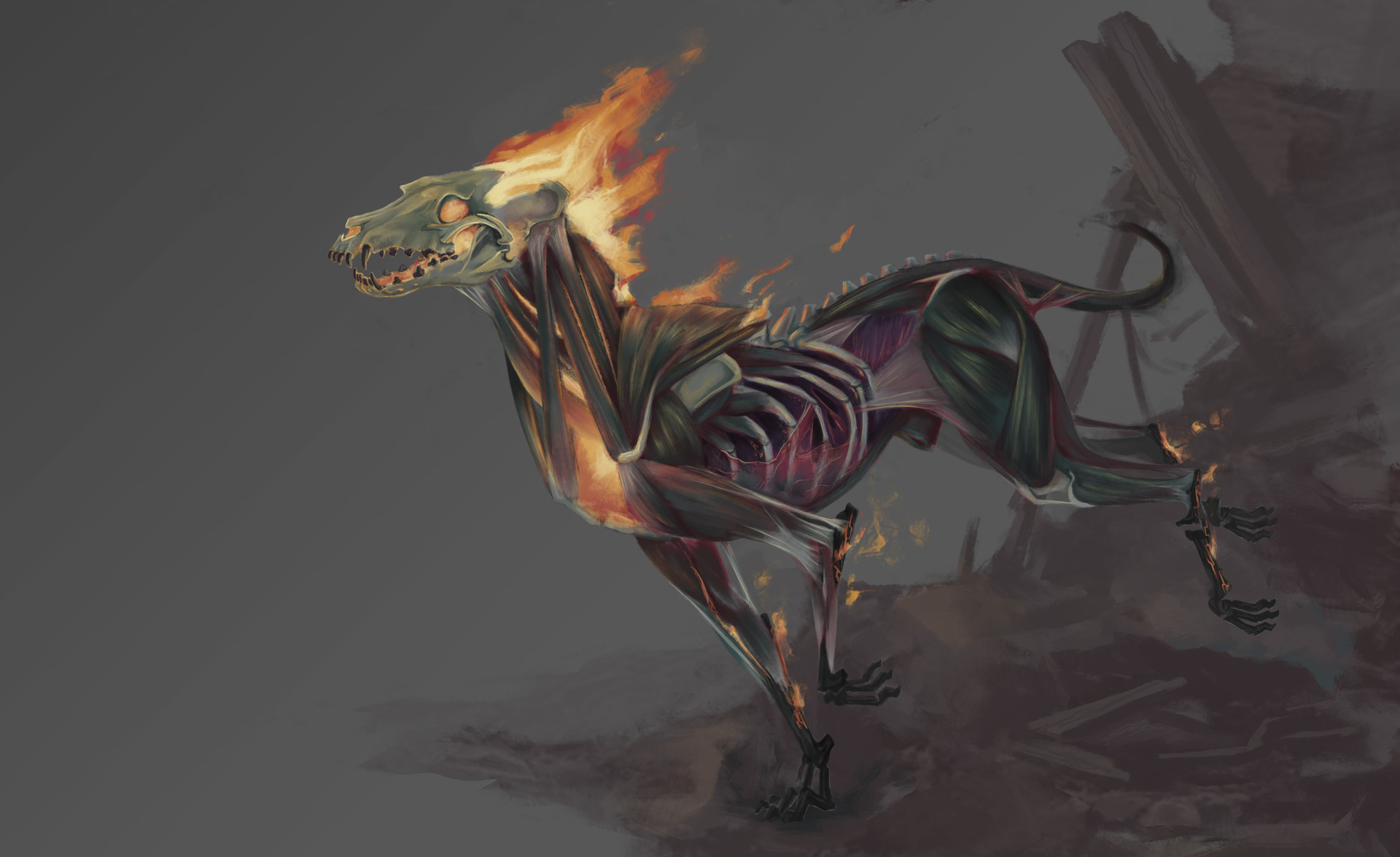 ArtStation - Withersea's Deo | Deo's Firehounds