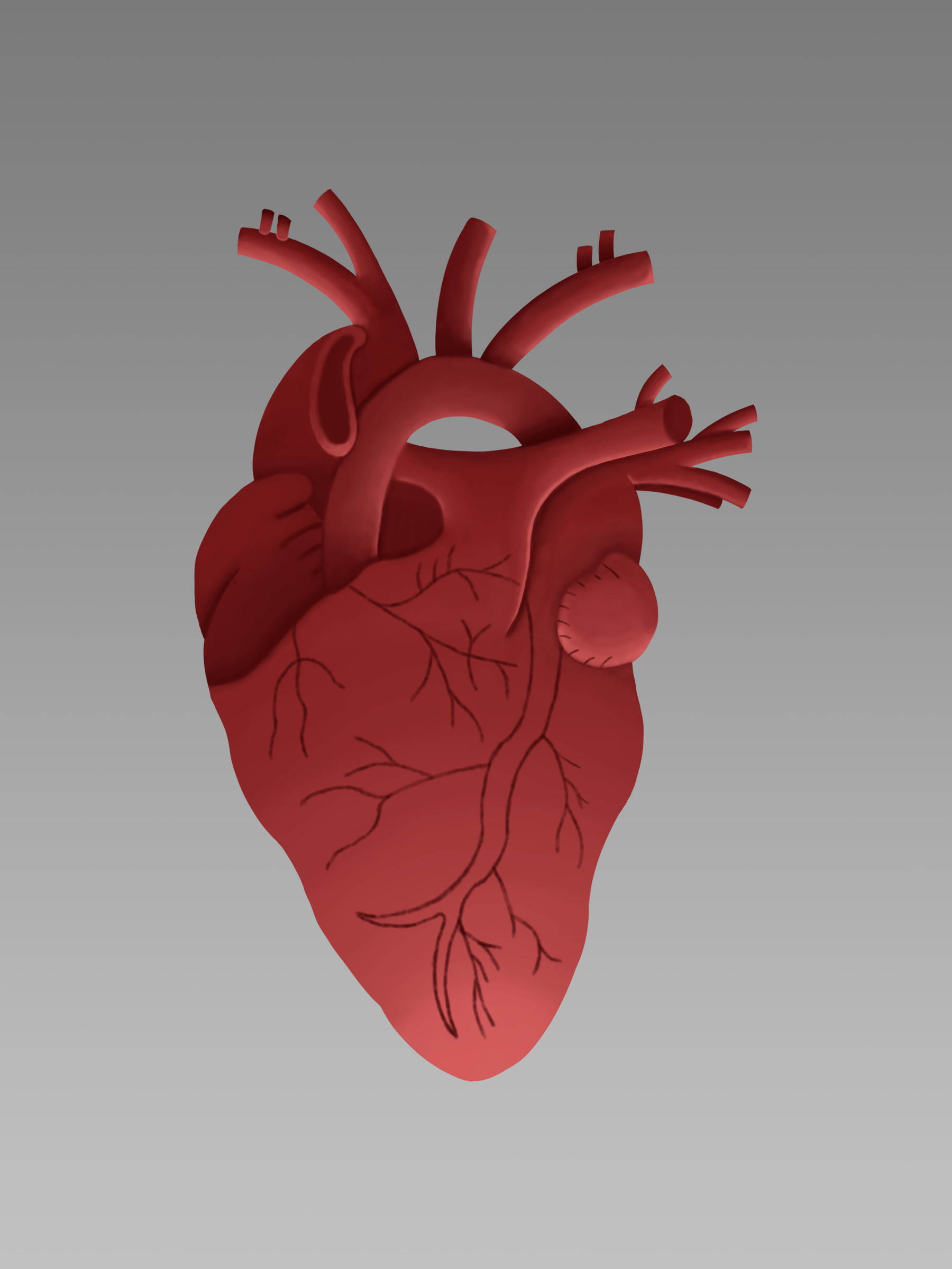 ArtStation - Human Heart