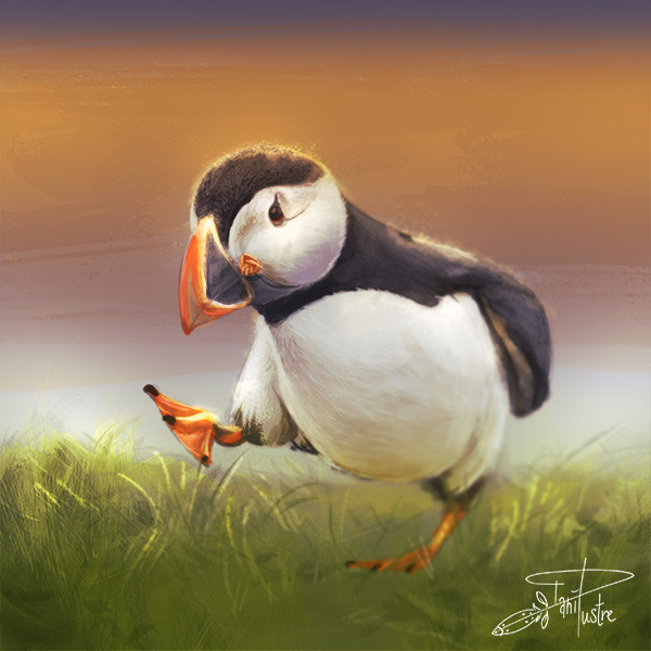 ArtStation - Puffin