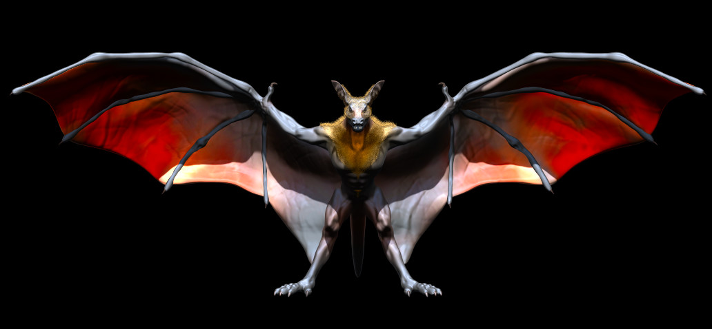 ArtStation - Bat Creature