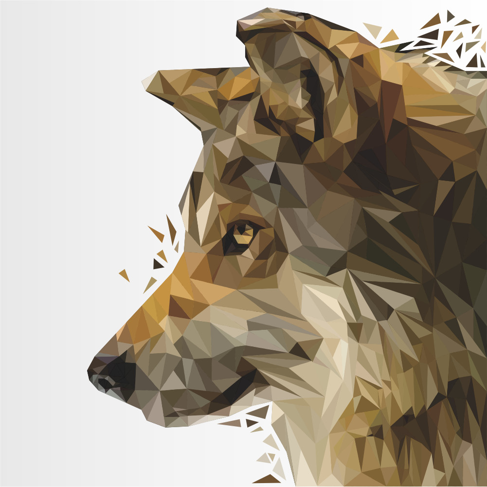 ArtStation - Wolf (Low Poly Art design