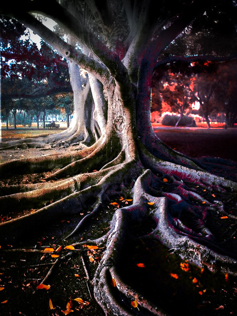 ArtStation - Photoshop warm up