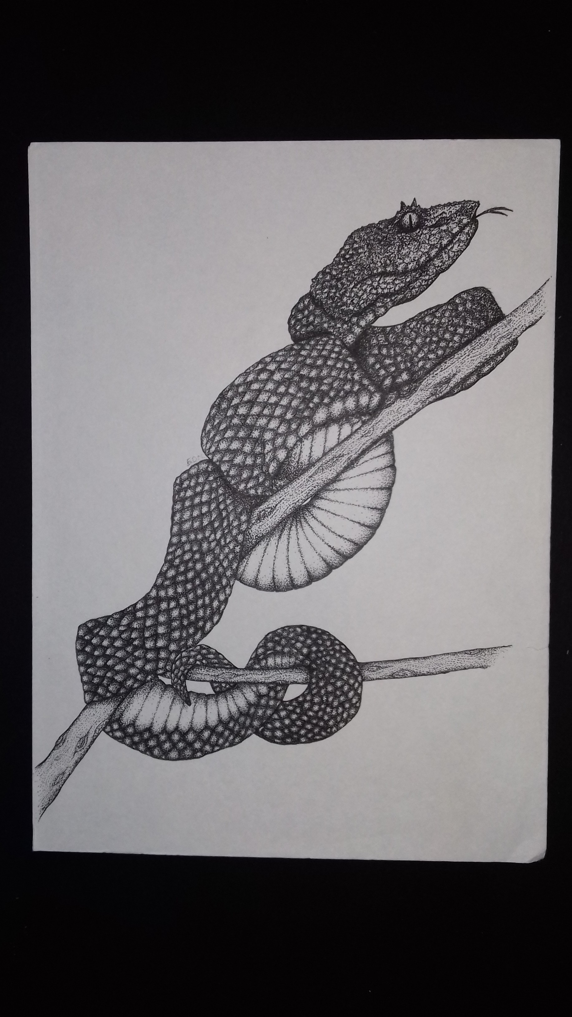 ArtStation - Dotwork Snake