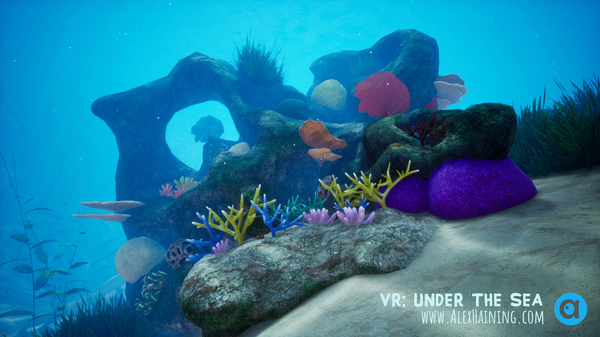 ArtStation - Under the Sea: VR a tool for Conservation