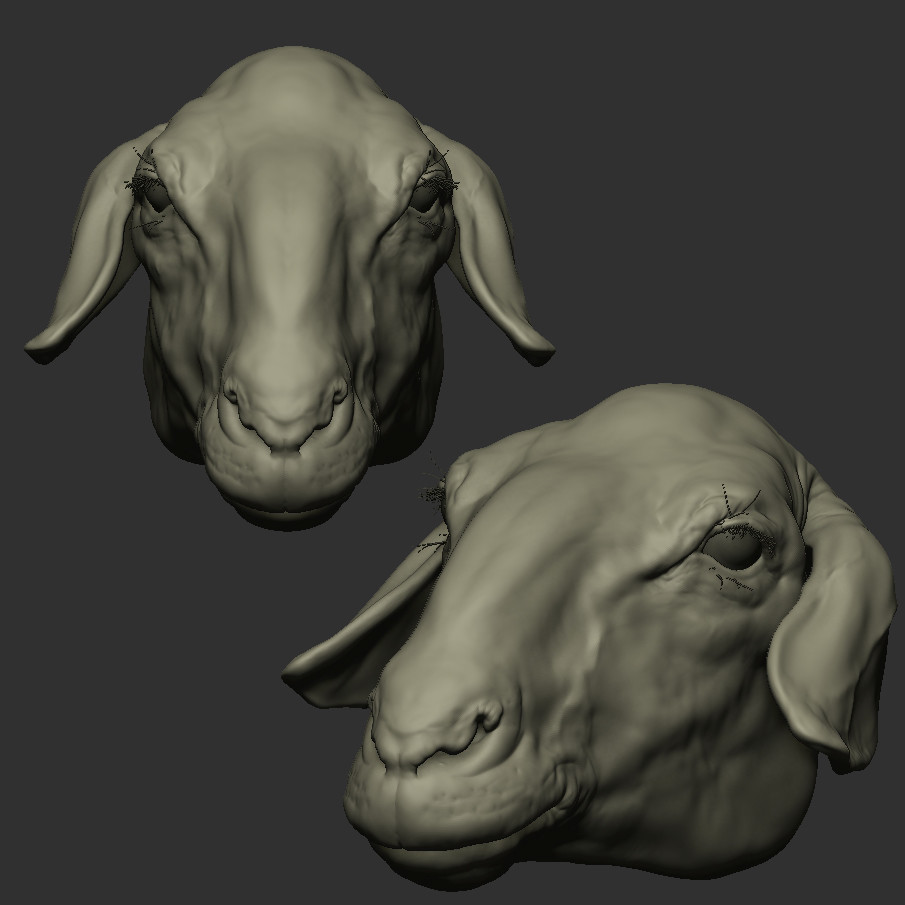 ArtStation - Sheep_Head