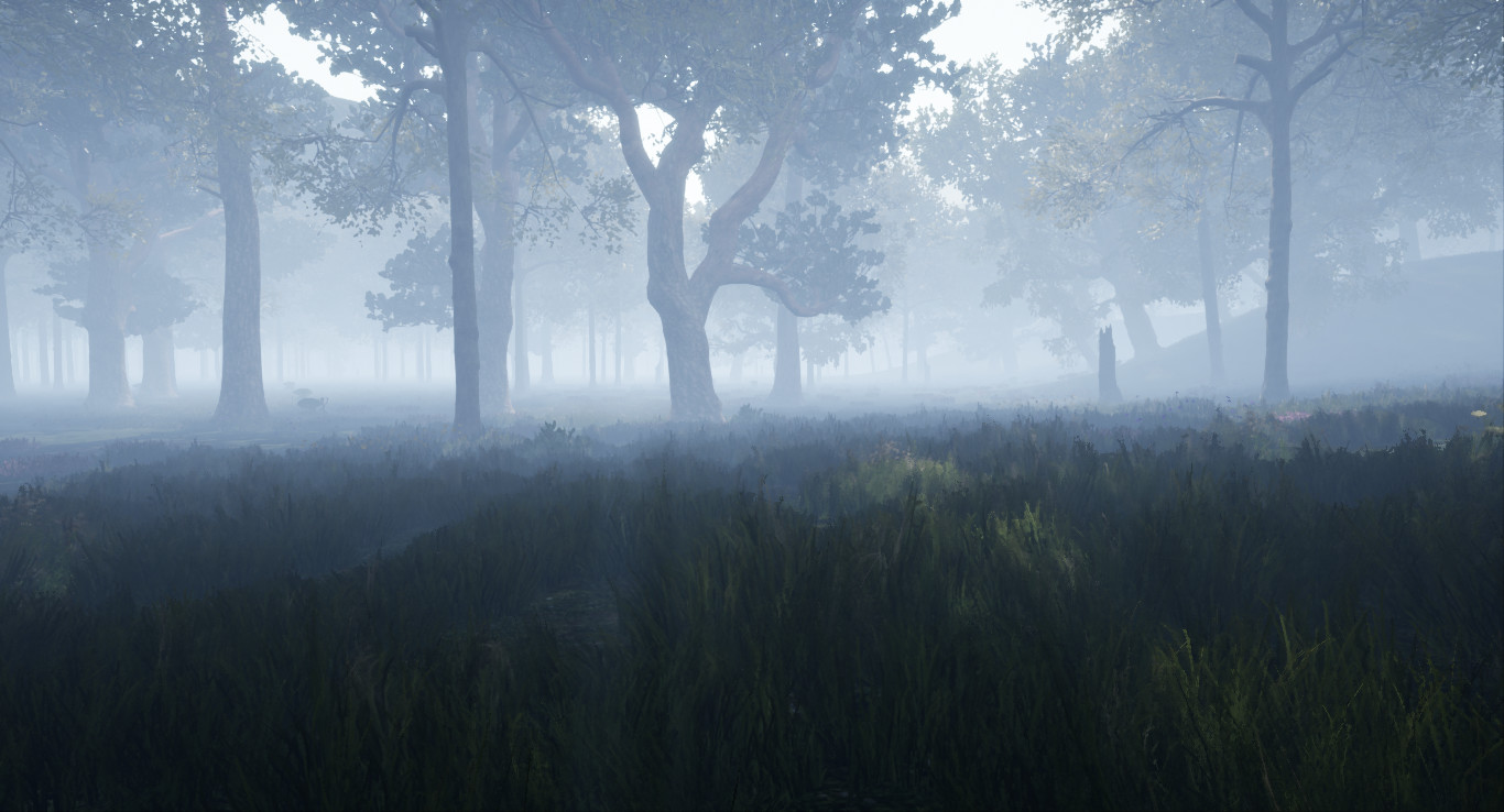 ArtStation - Concept Forest