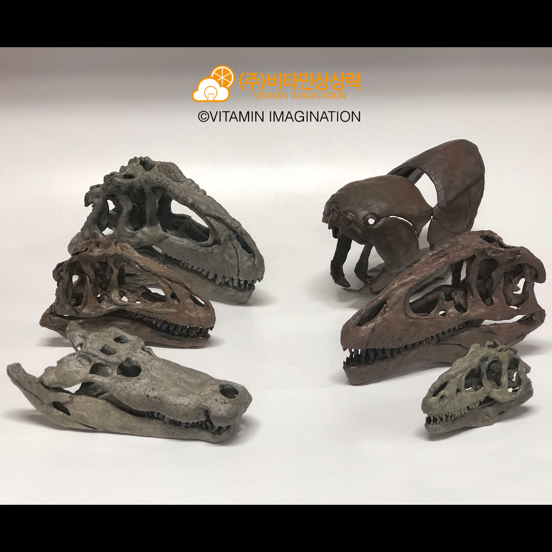 ArtStation - Complete dinosaur skull 10 species