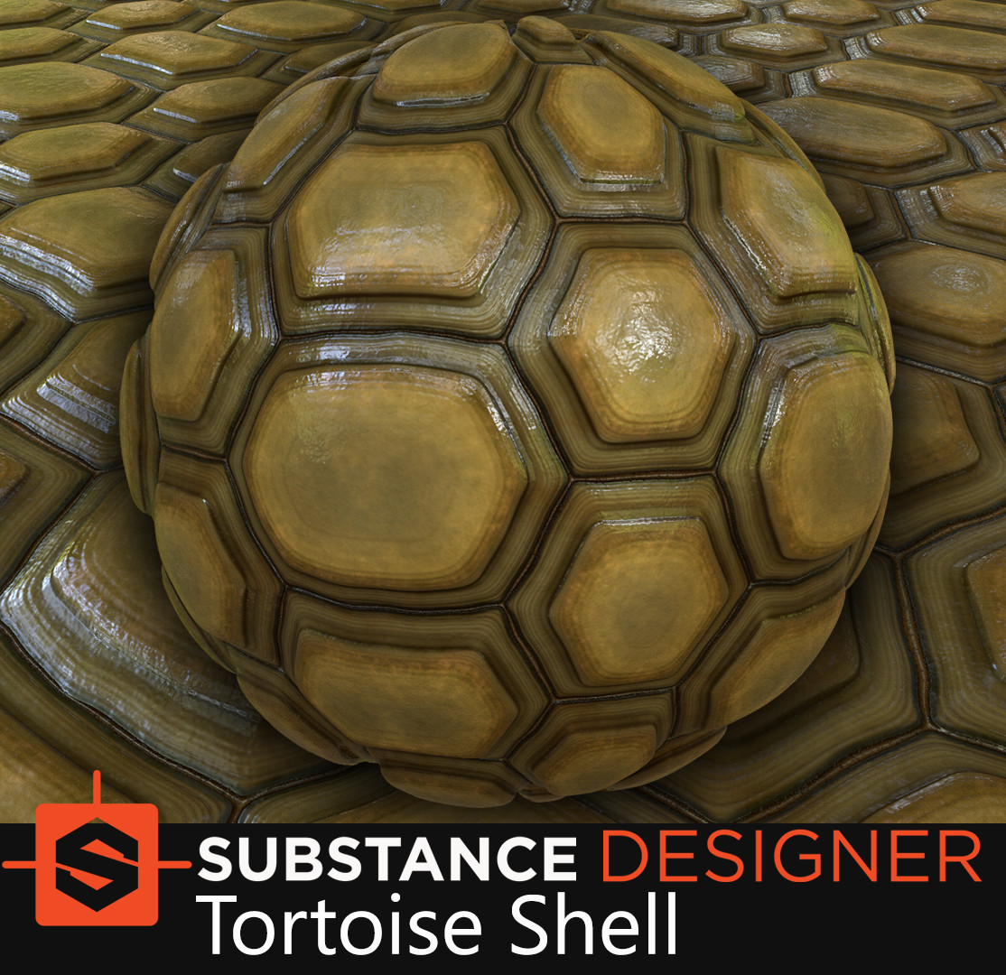 ArtStation - Tortoise Shell