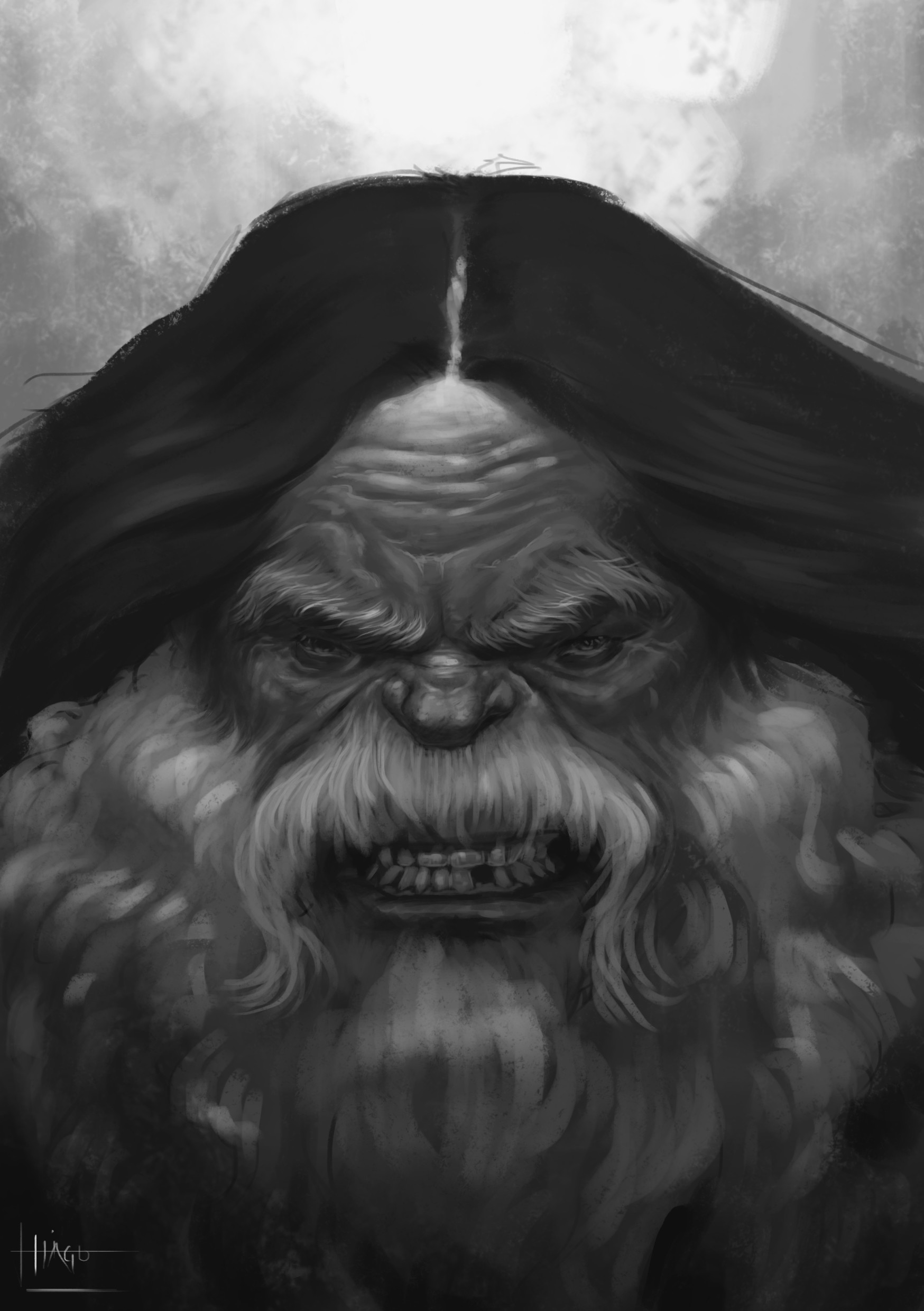 ArtStation - Angry and elf