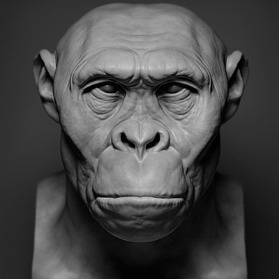 ArtStation - Ape