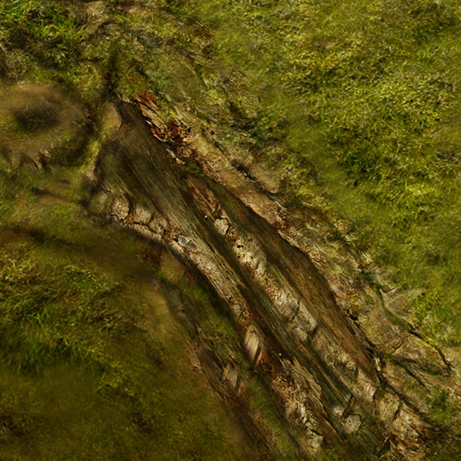 ArtStation - Forest Textures