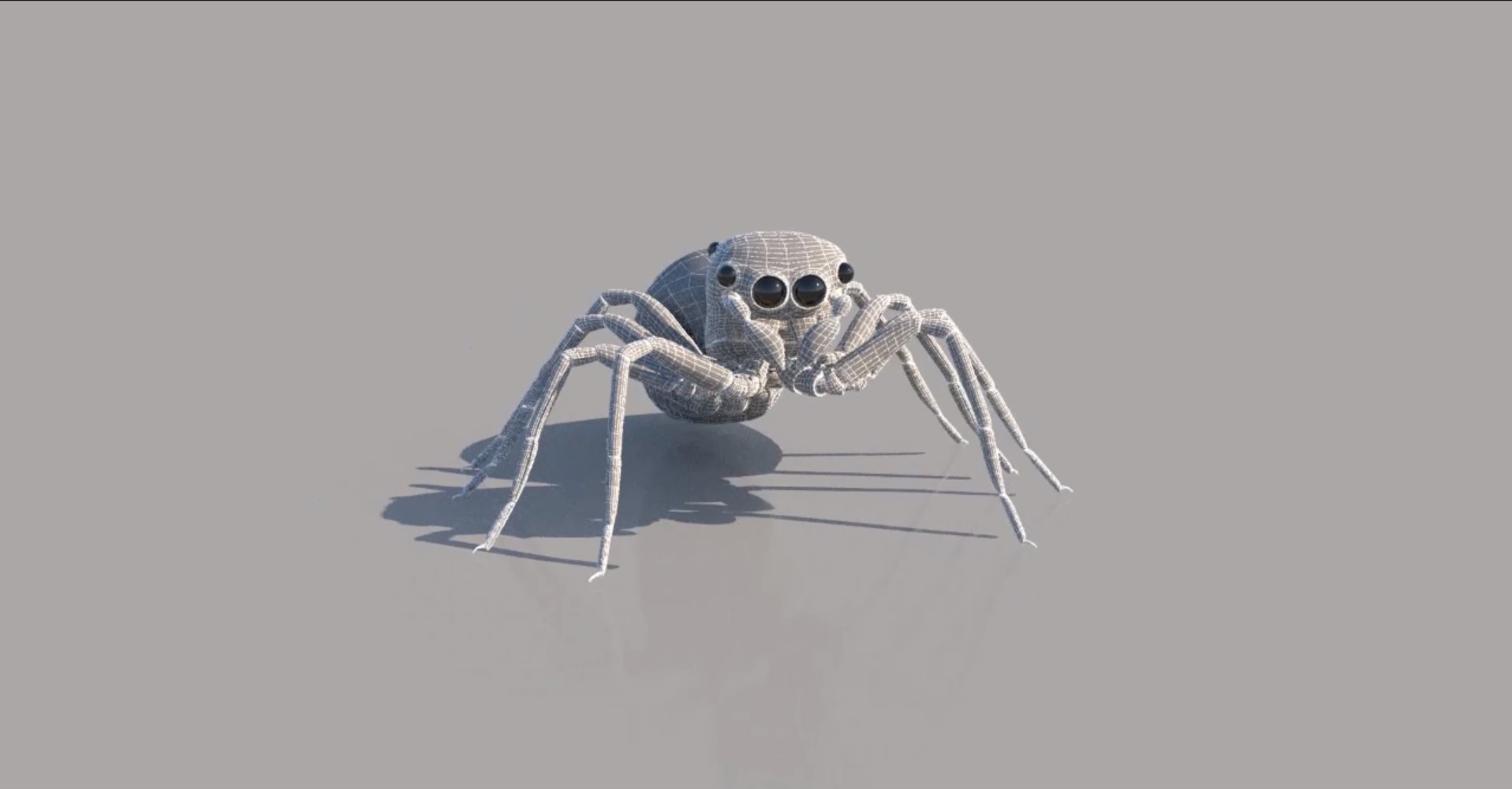 ArtStation - Spider animation