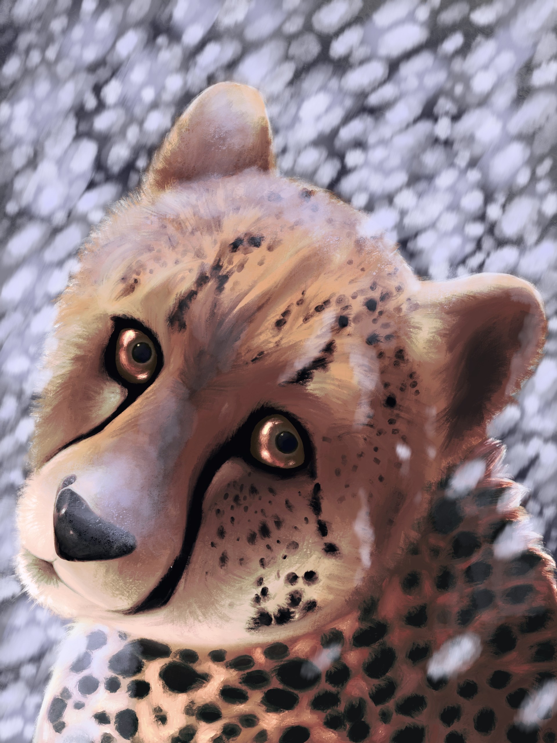 ArtStation - Cheetah