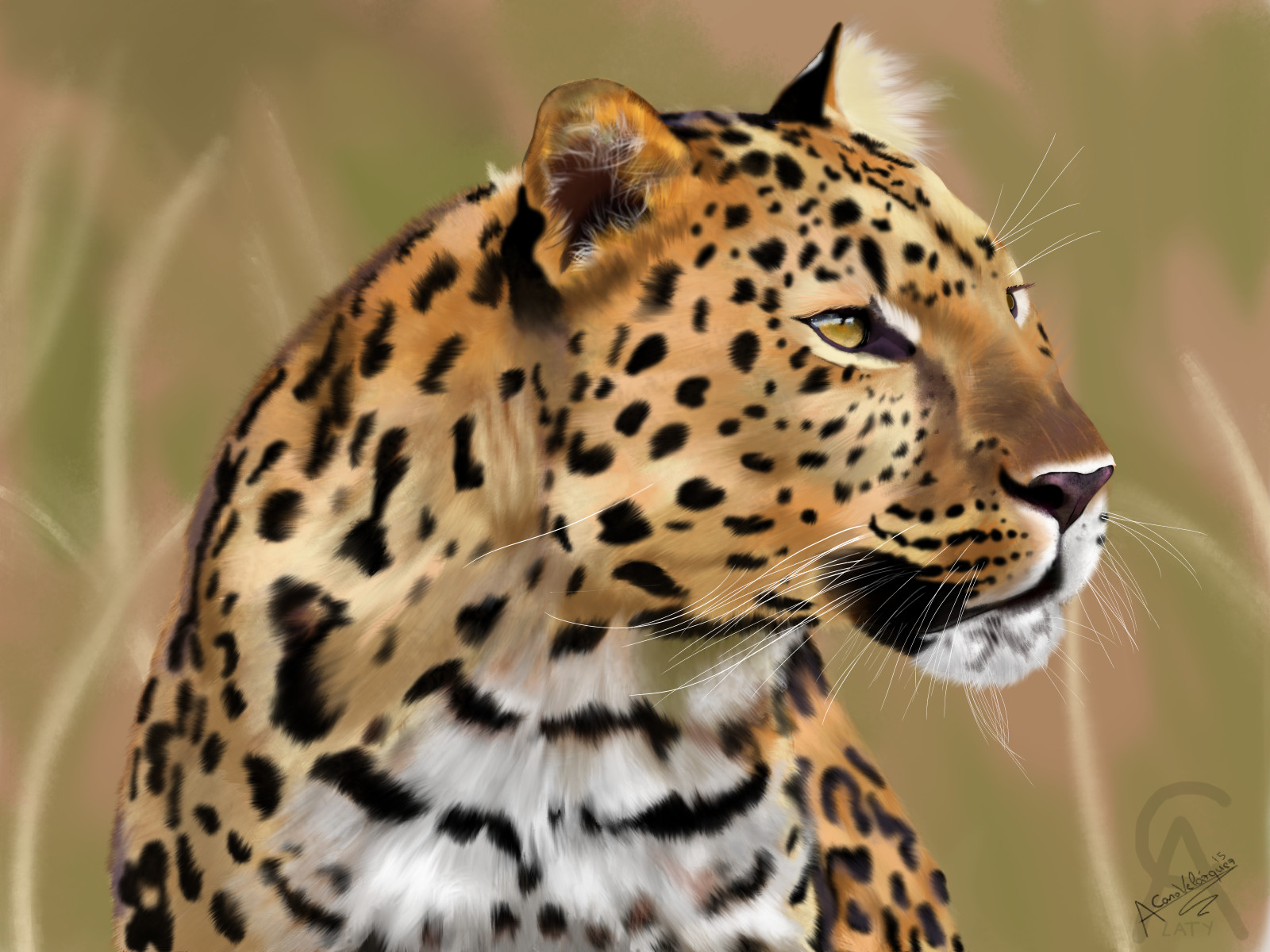 ArtStation - Leopard