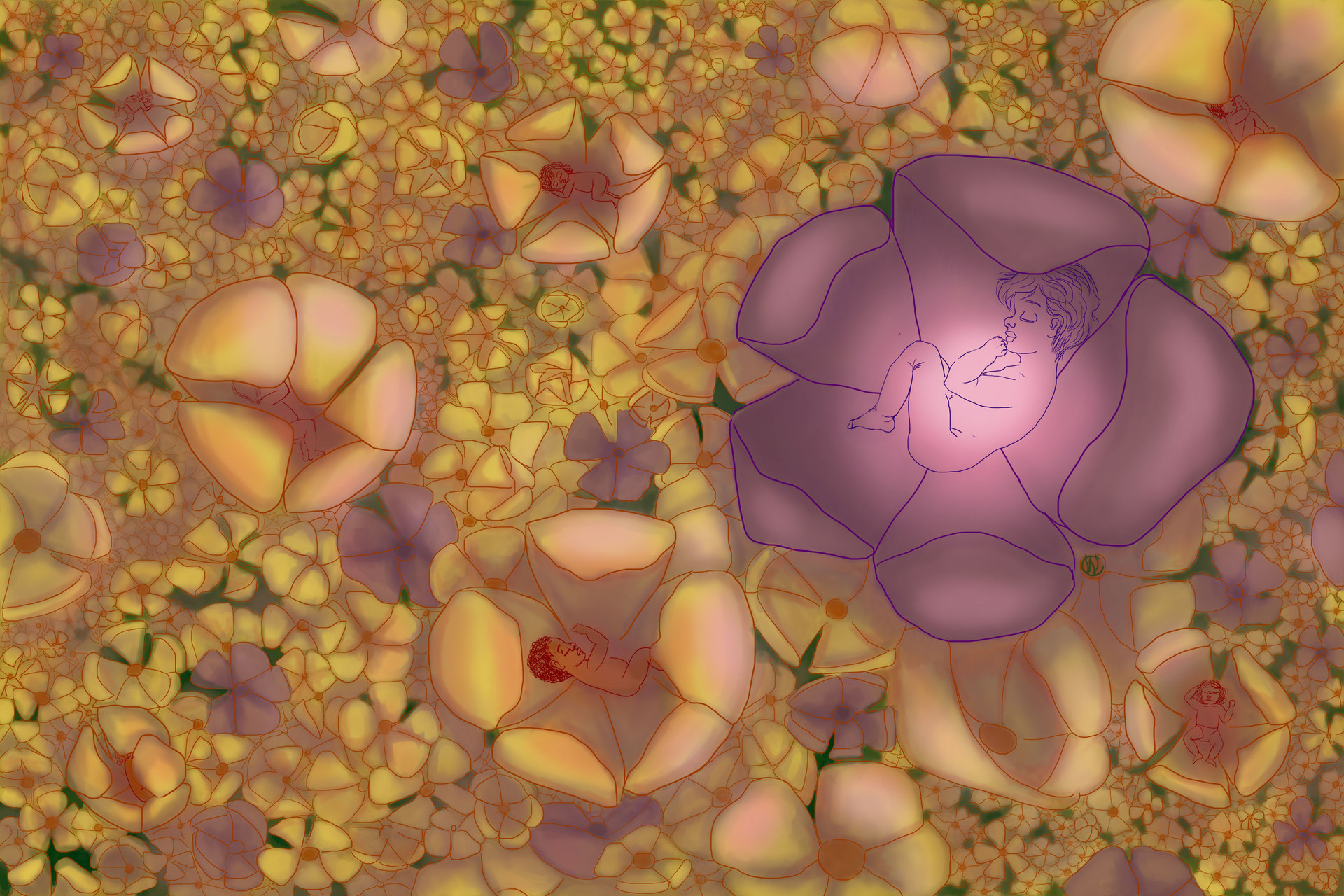 Wander Cat - The light