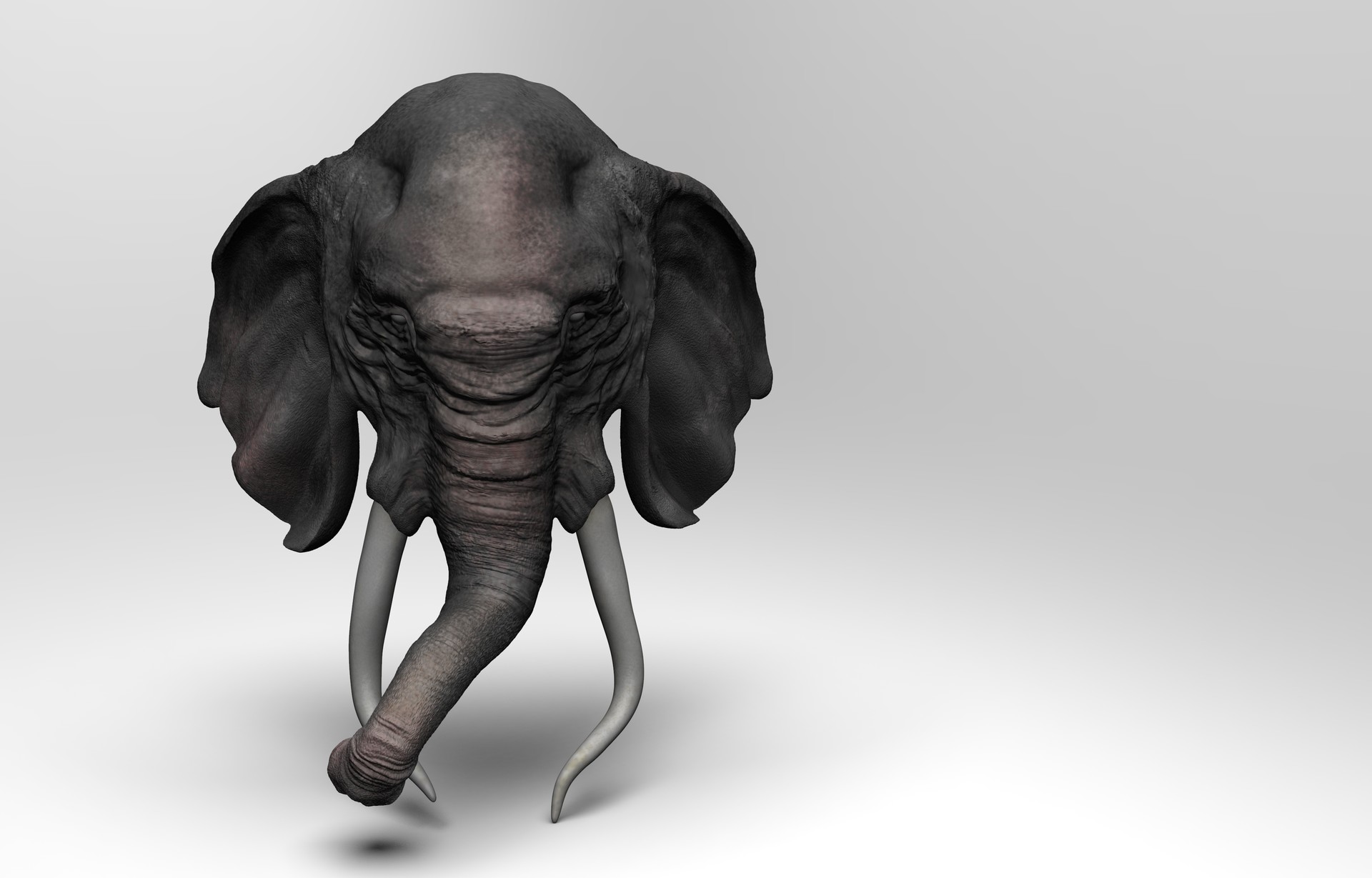 ArtStation - Elephant head