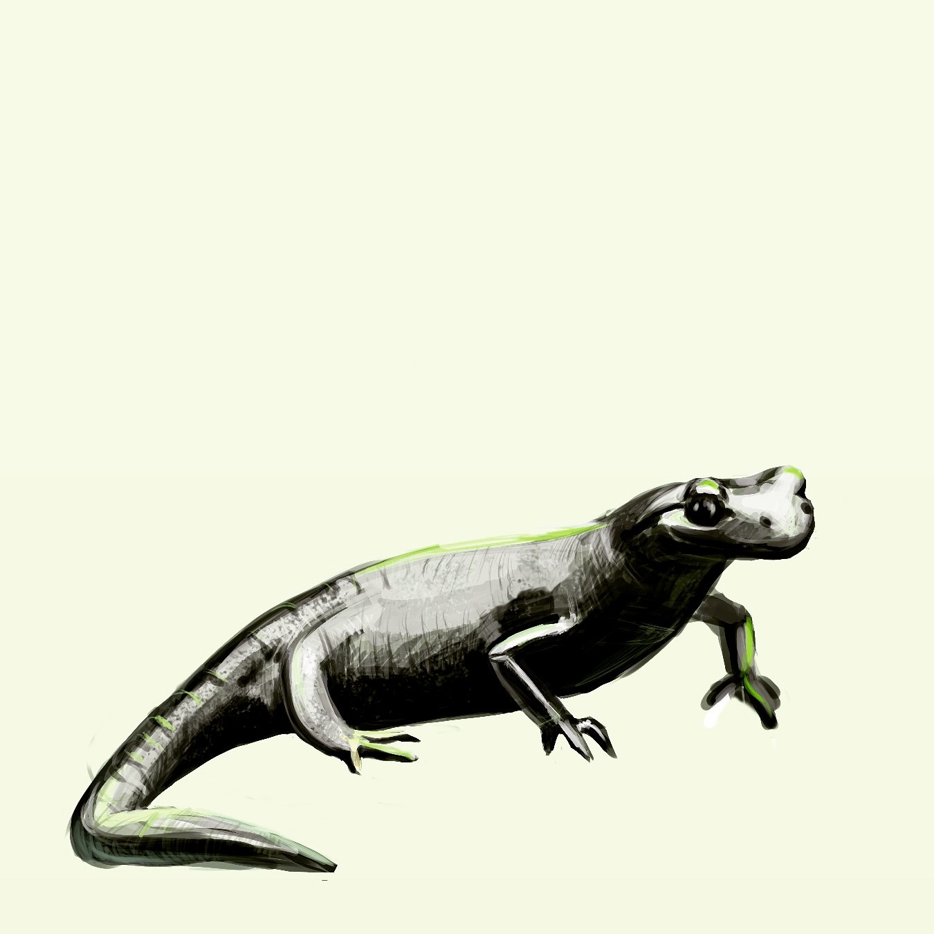 ArtStation - Salamander