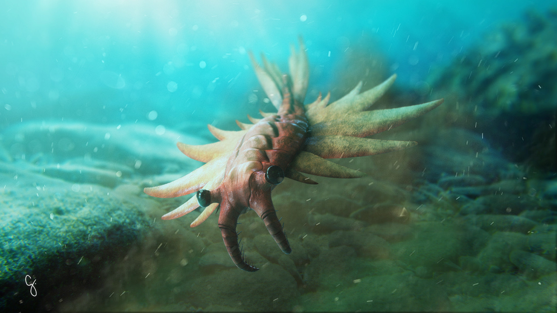 ArtStation - Anomalocaris canadensis