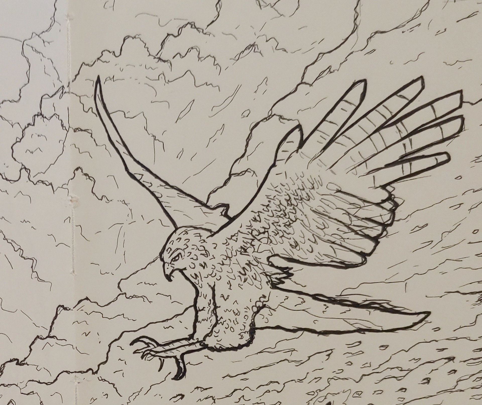 ArtStation - Fire and Hawk Sketch