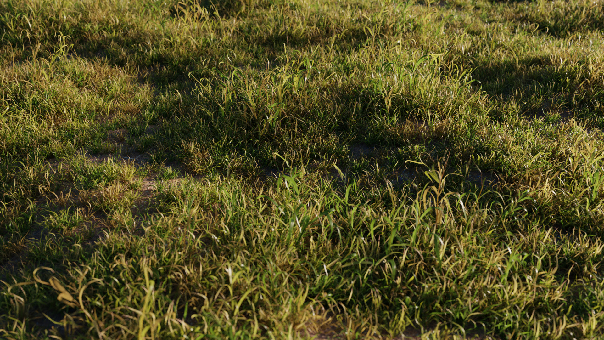 ArtStation - Grass Pack 02 - Wild Grass