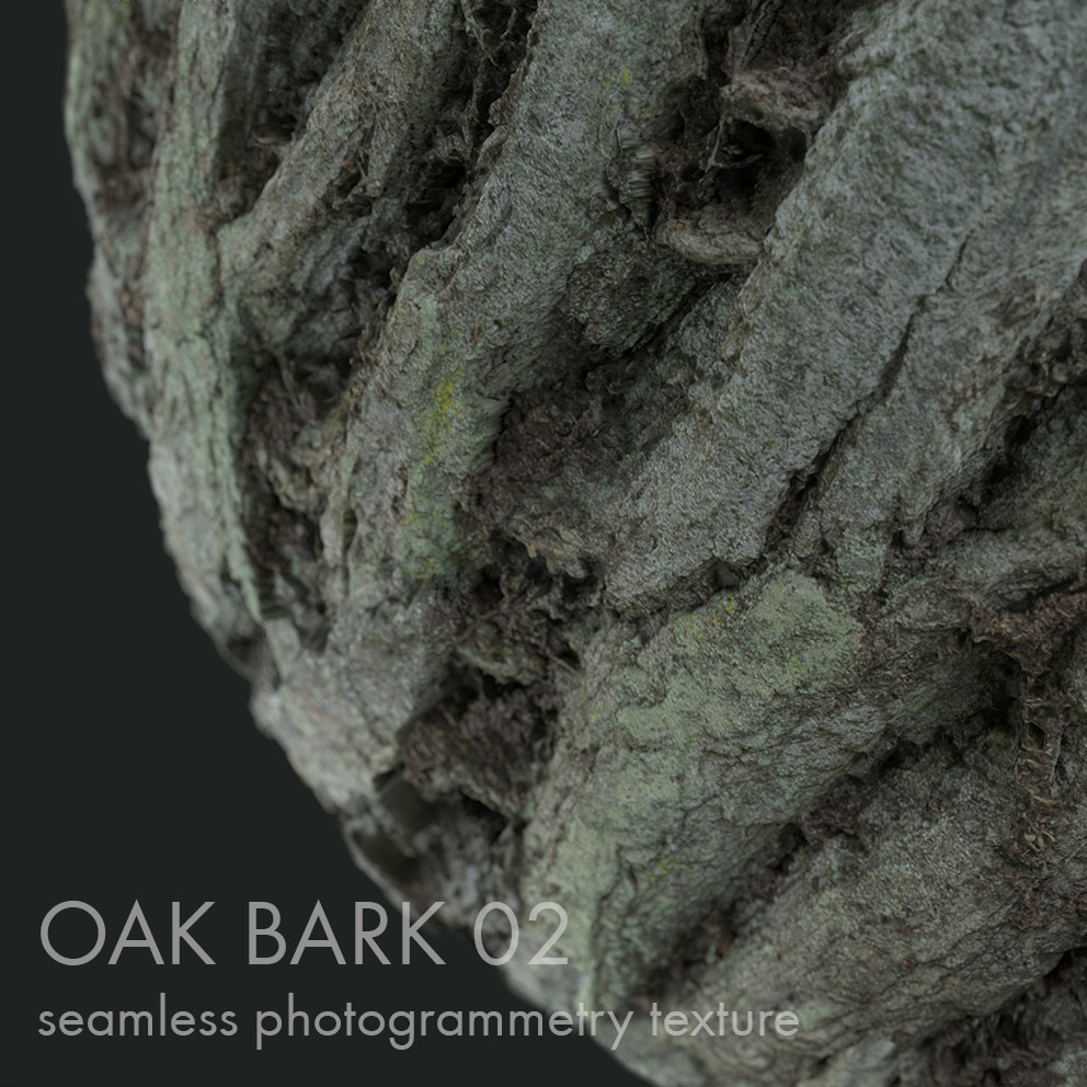 ArtStation - Oak tree bark 02 - seamless photogrammetry texture