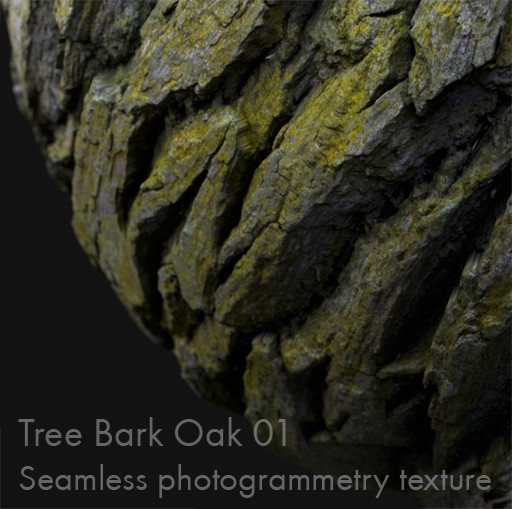 ArtStation - Tree bark oak 01 - seamless photogrammetry texture