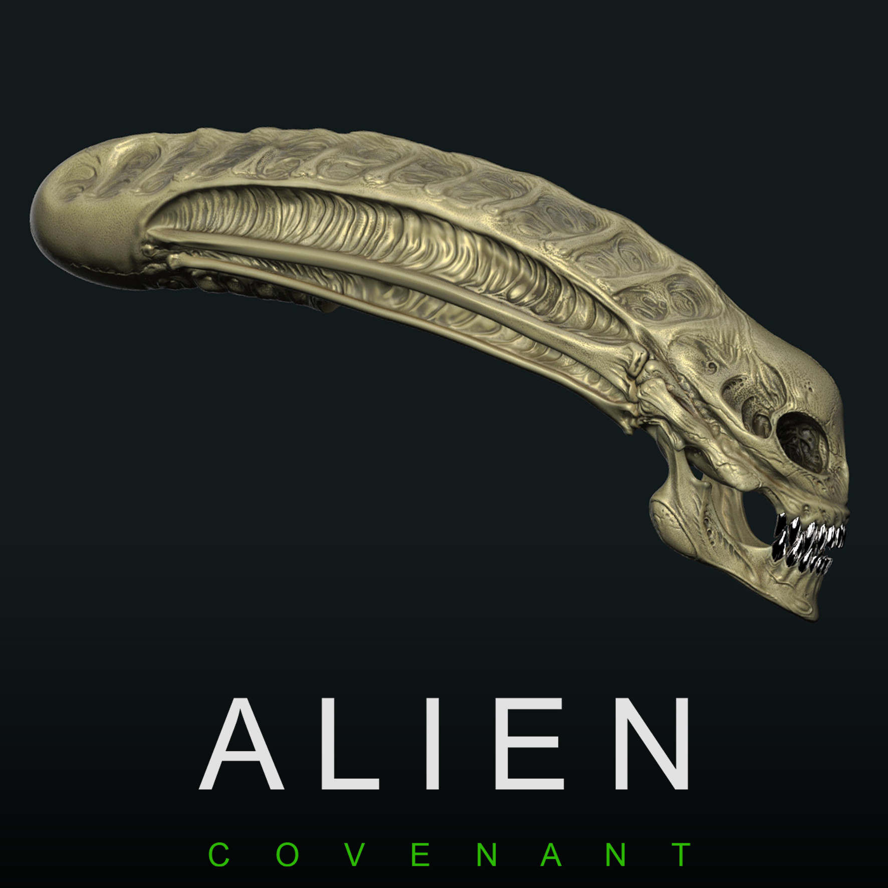 ArtStation - Alien Covenant - Protomorph Skull