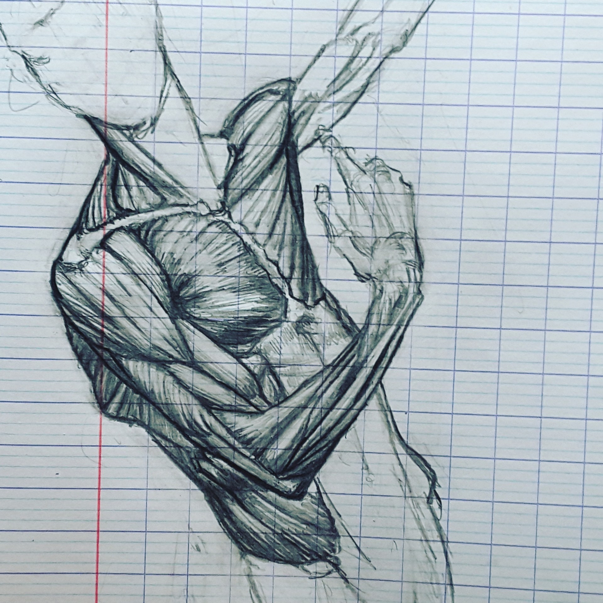 ArtStation - Anatomy stuff 2d/3d