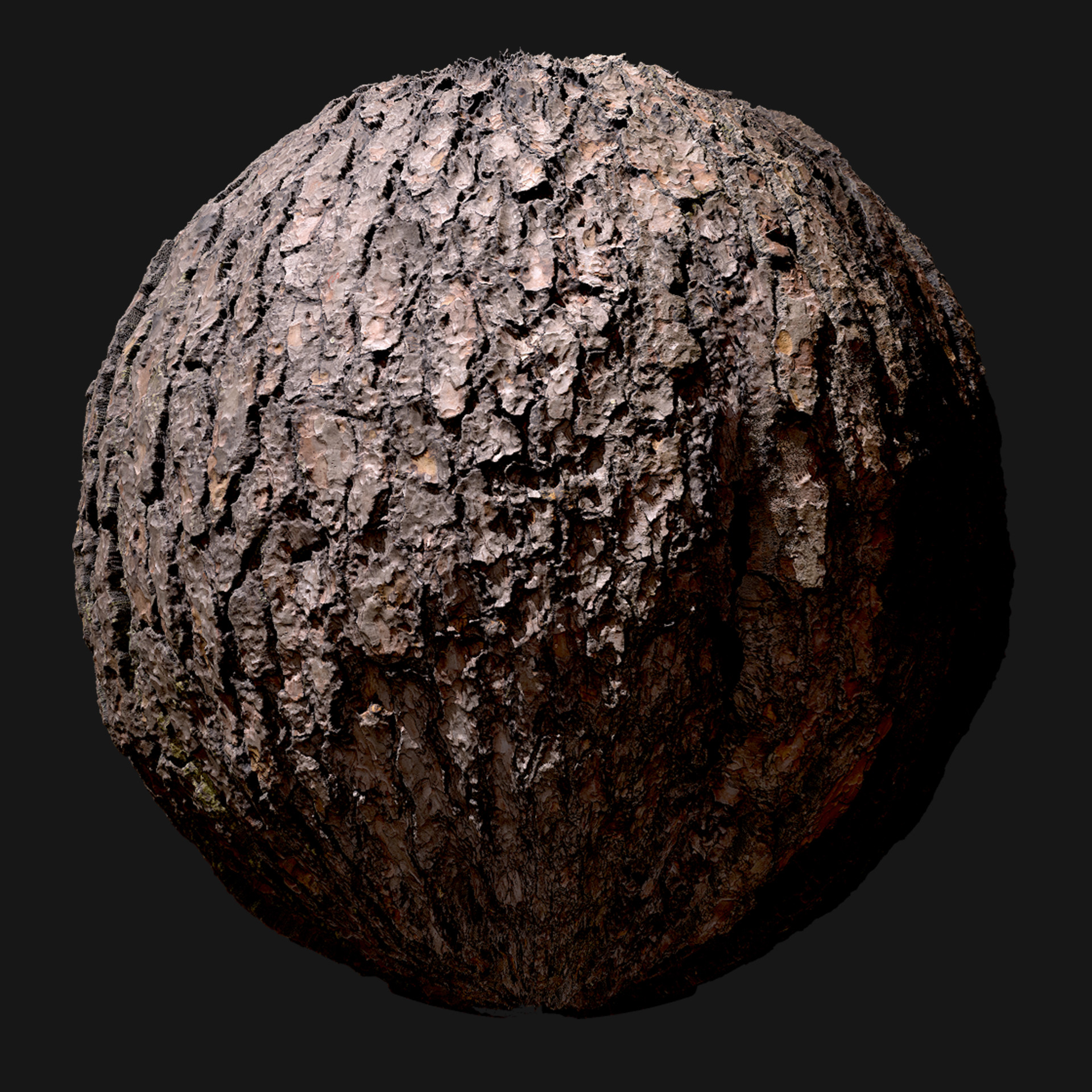 ArtStation - Pine Tree Bark