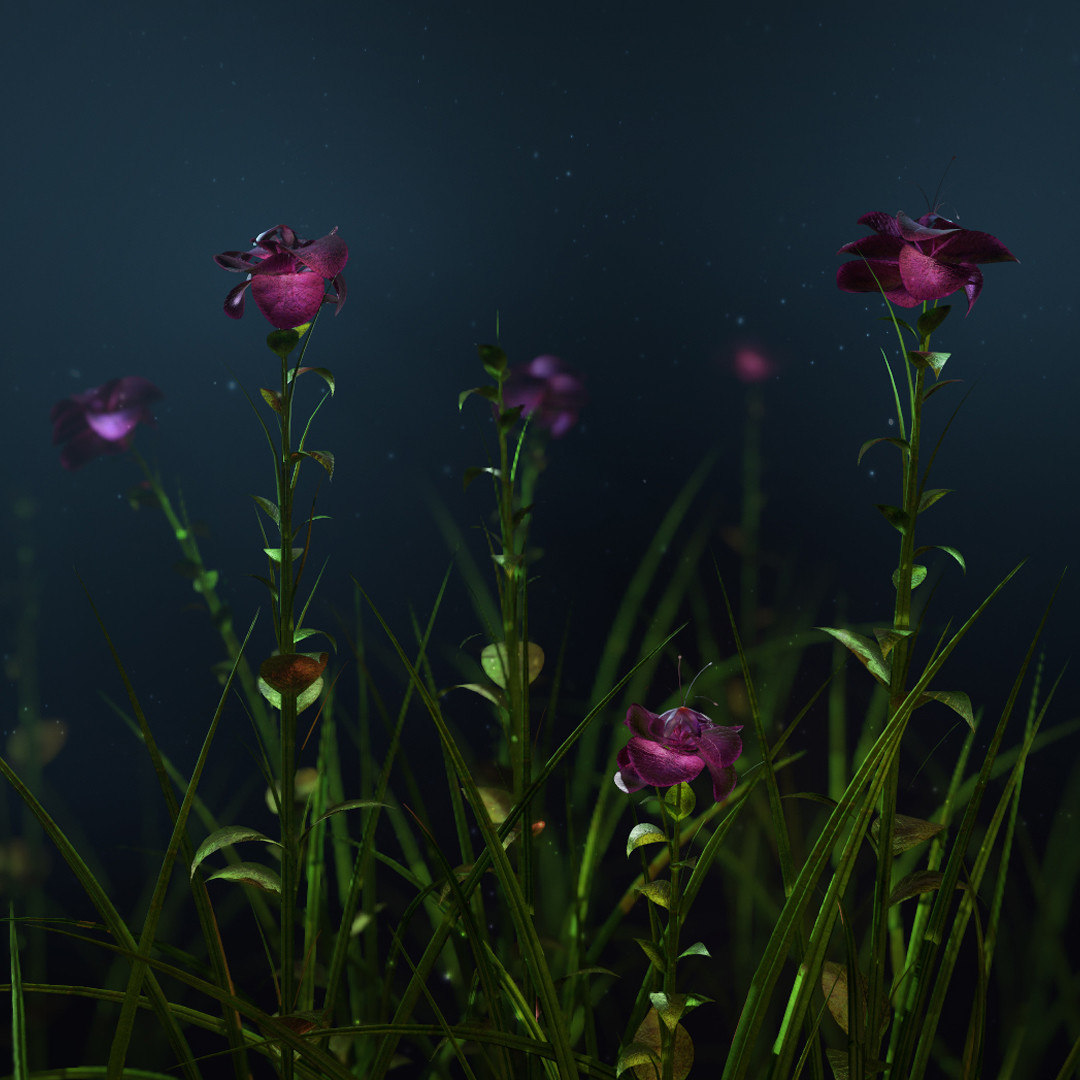 ArtStation - Procedural Flower (Substance Designer)