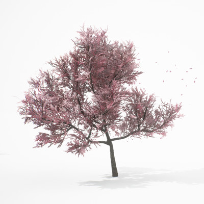 ArtStation - Procedural Trees with Houdini