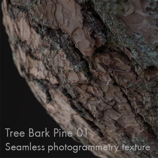 ArtStation - Tree Bark Pine 01