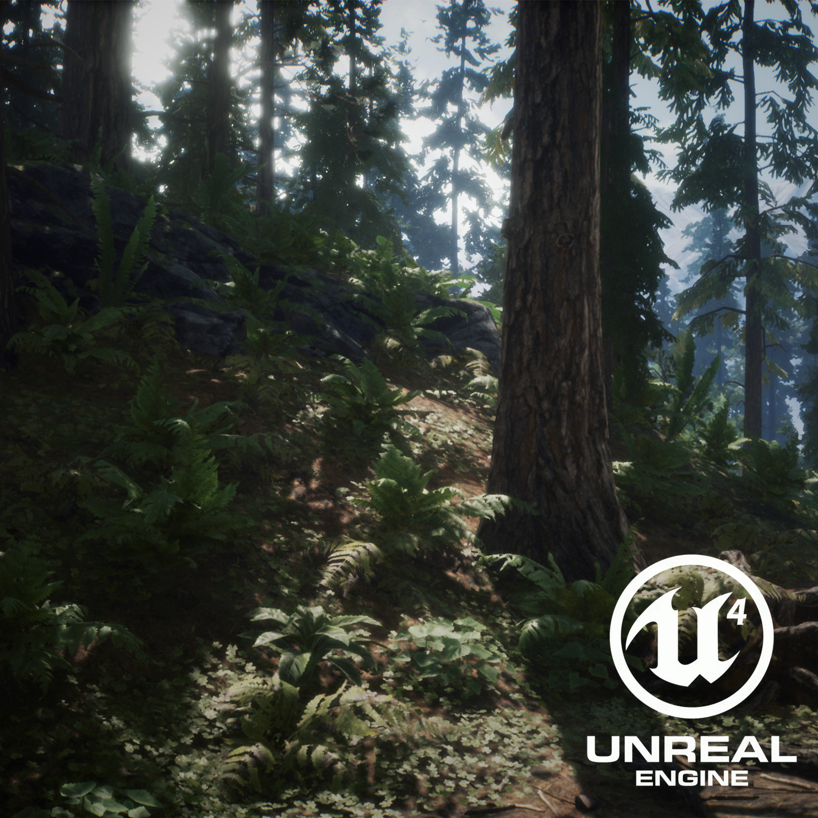 ArtStation - Ue4 Forest