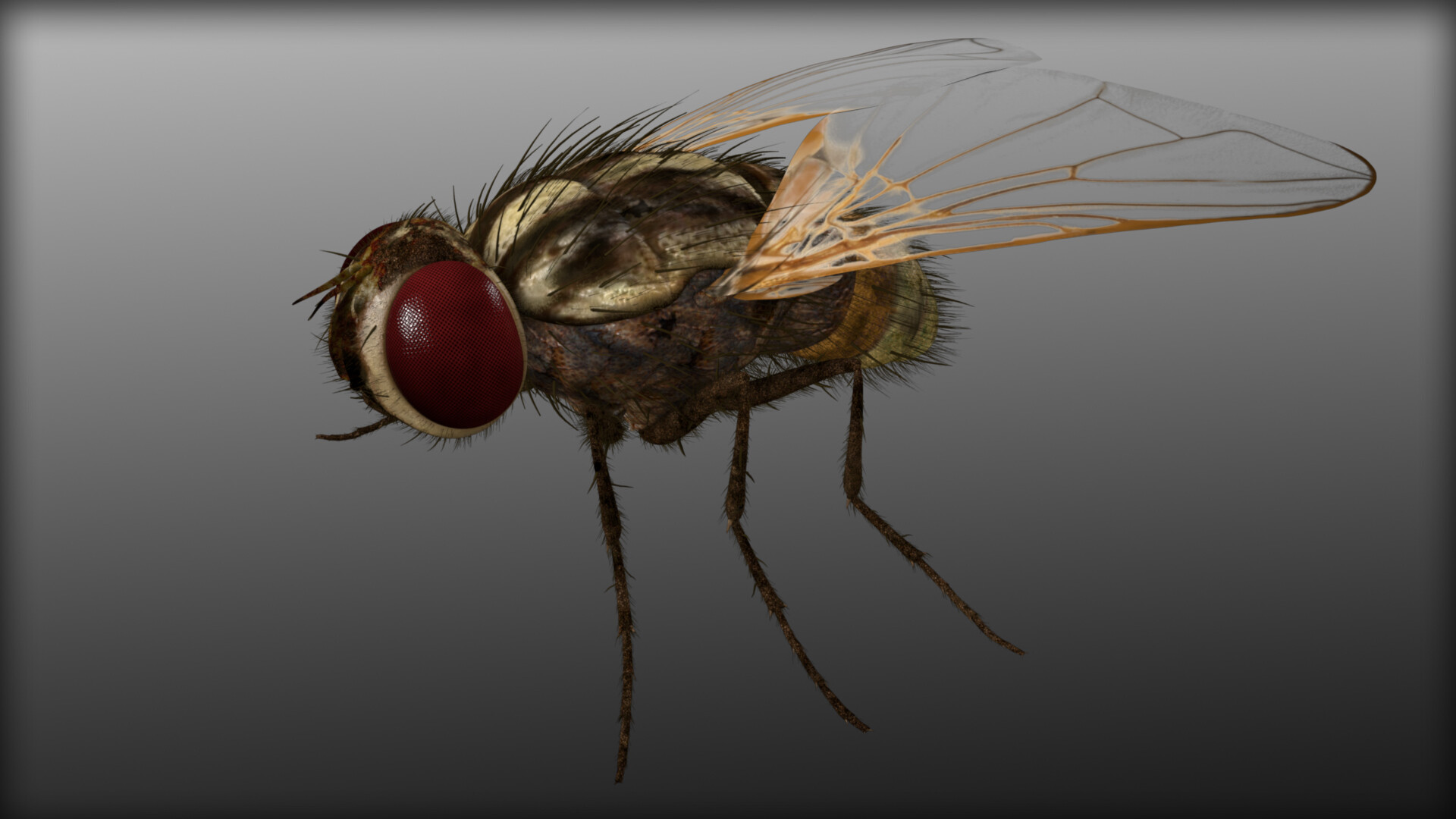 ArtStation - House_Fly_Texturing