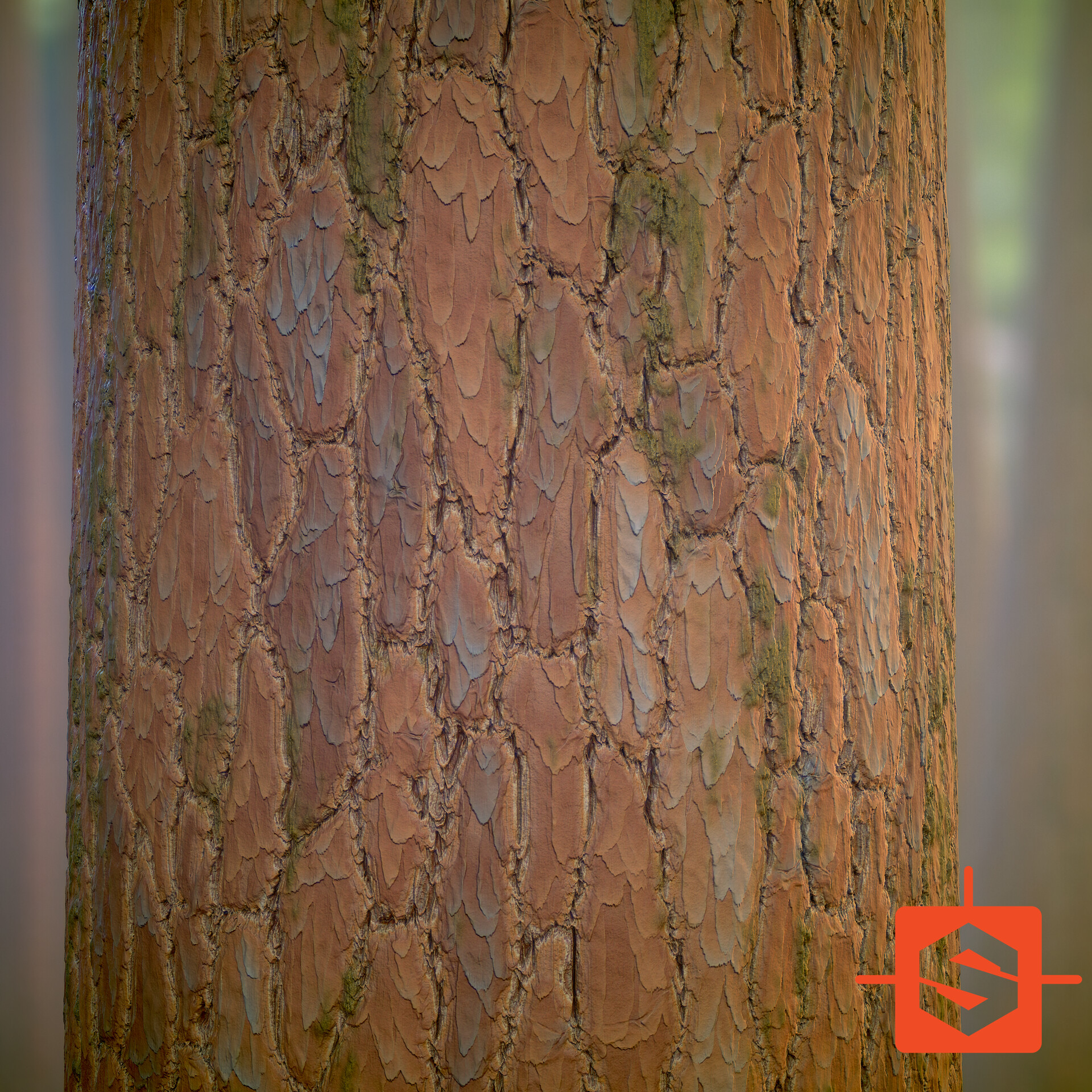 ArtStation - Pine Bark