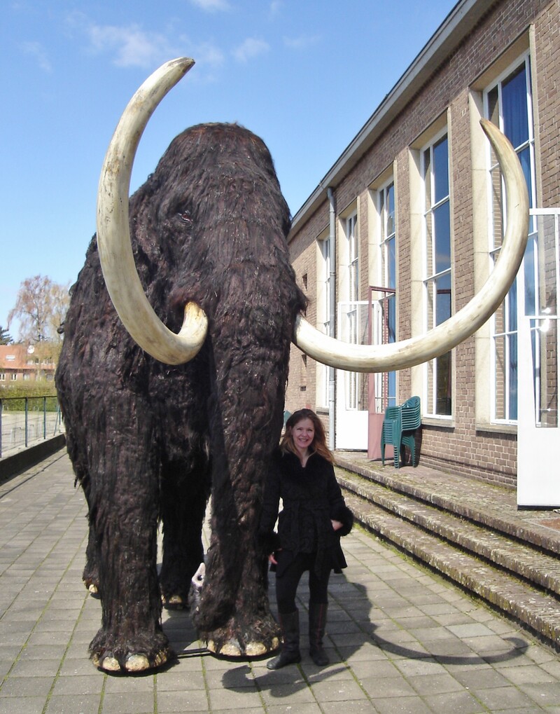 ArtStation - Jaap Roos