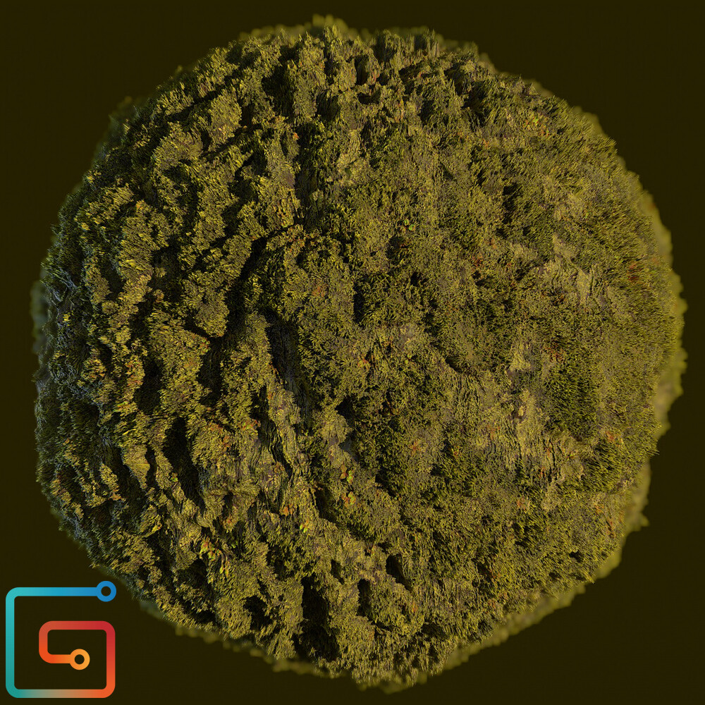 ArtStation - PBR Moss Material Study