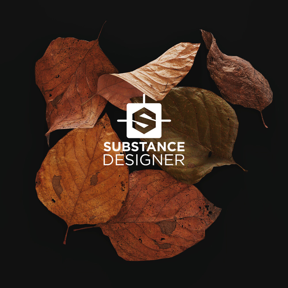 ArtStation - Leaf Generator