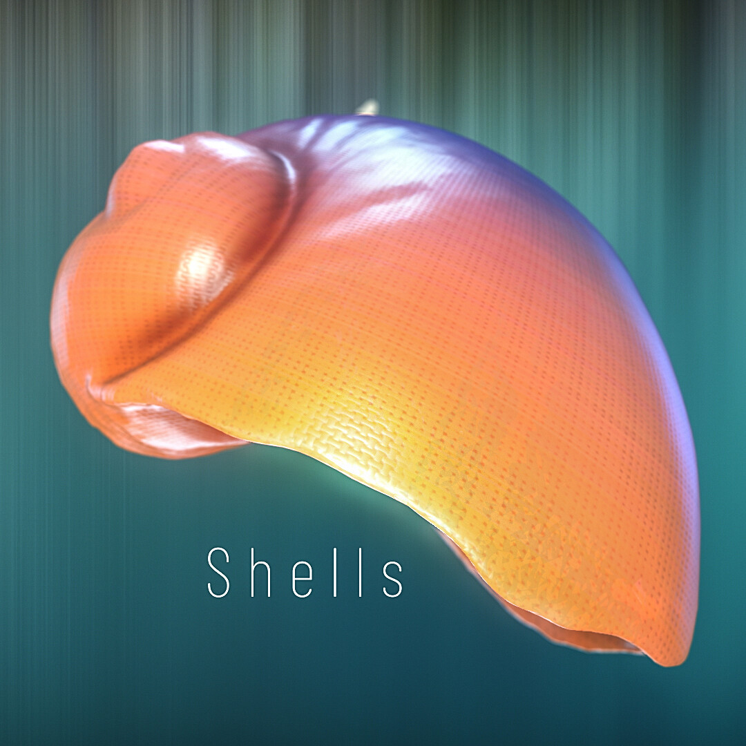 ArtStation - Shells