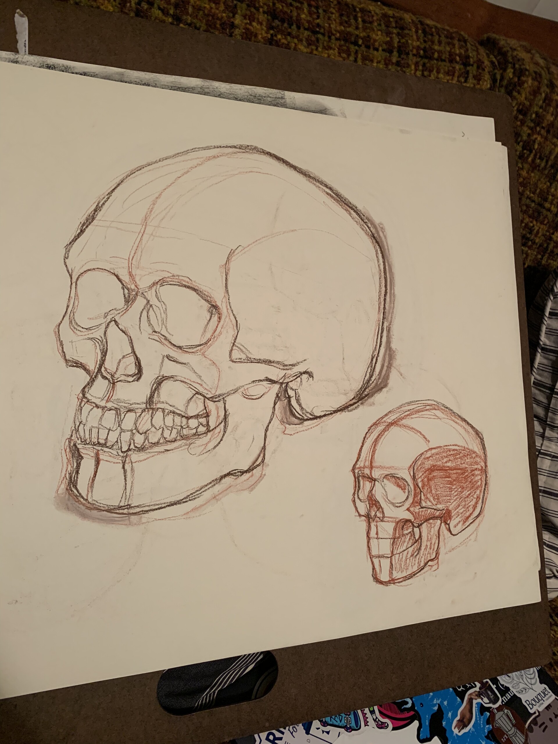 ArtStation - Skull studies