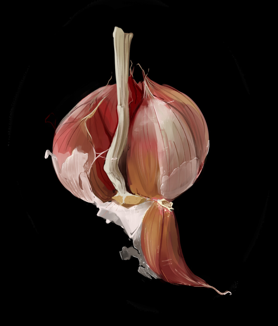 ArtStation - Garlic Study Paint