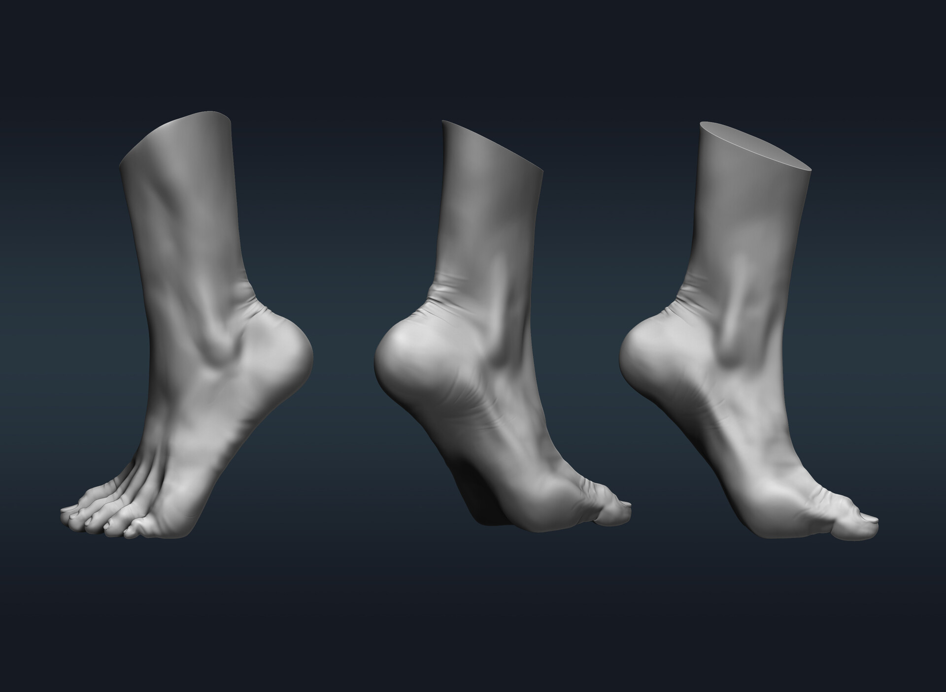 ArtStation - Foot & Leg Anatomy Study