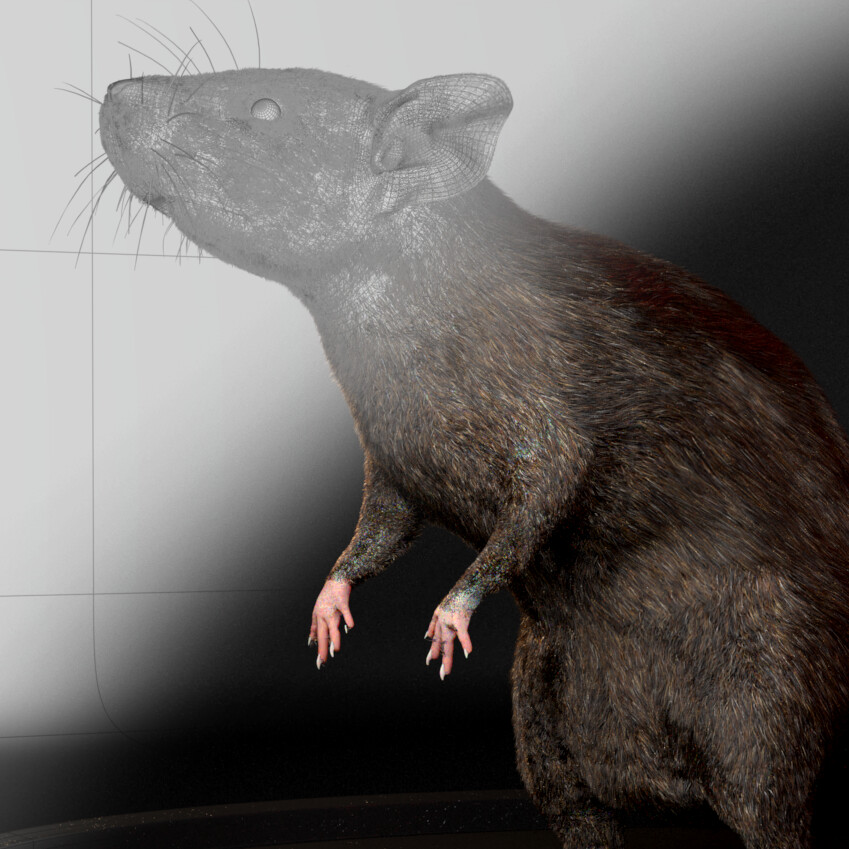 ArtStation - Rat-Render project