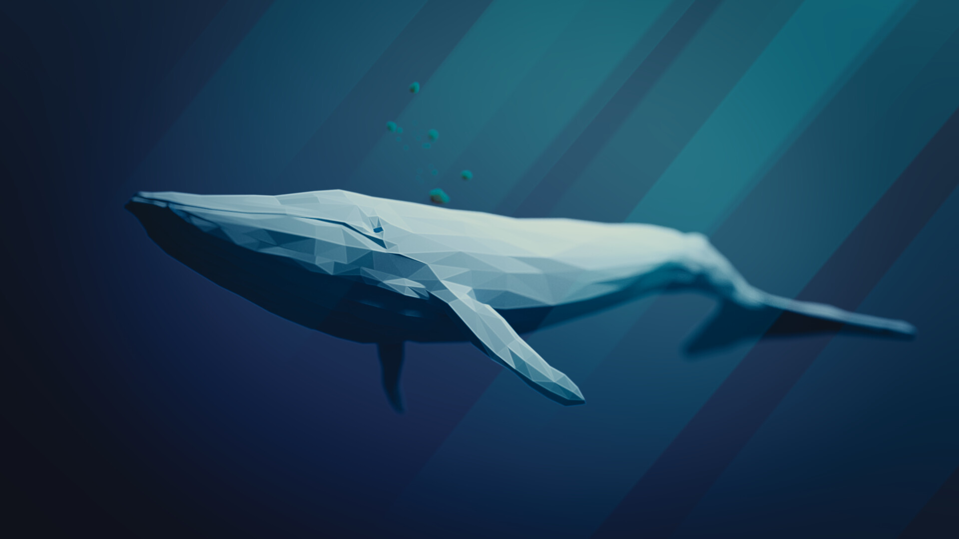 ArtStation - Low Poly Whale, Torulus :)