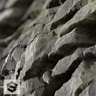 Simon Léotard Prigent