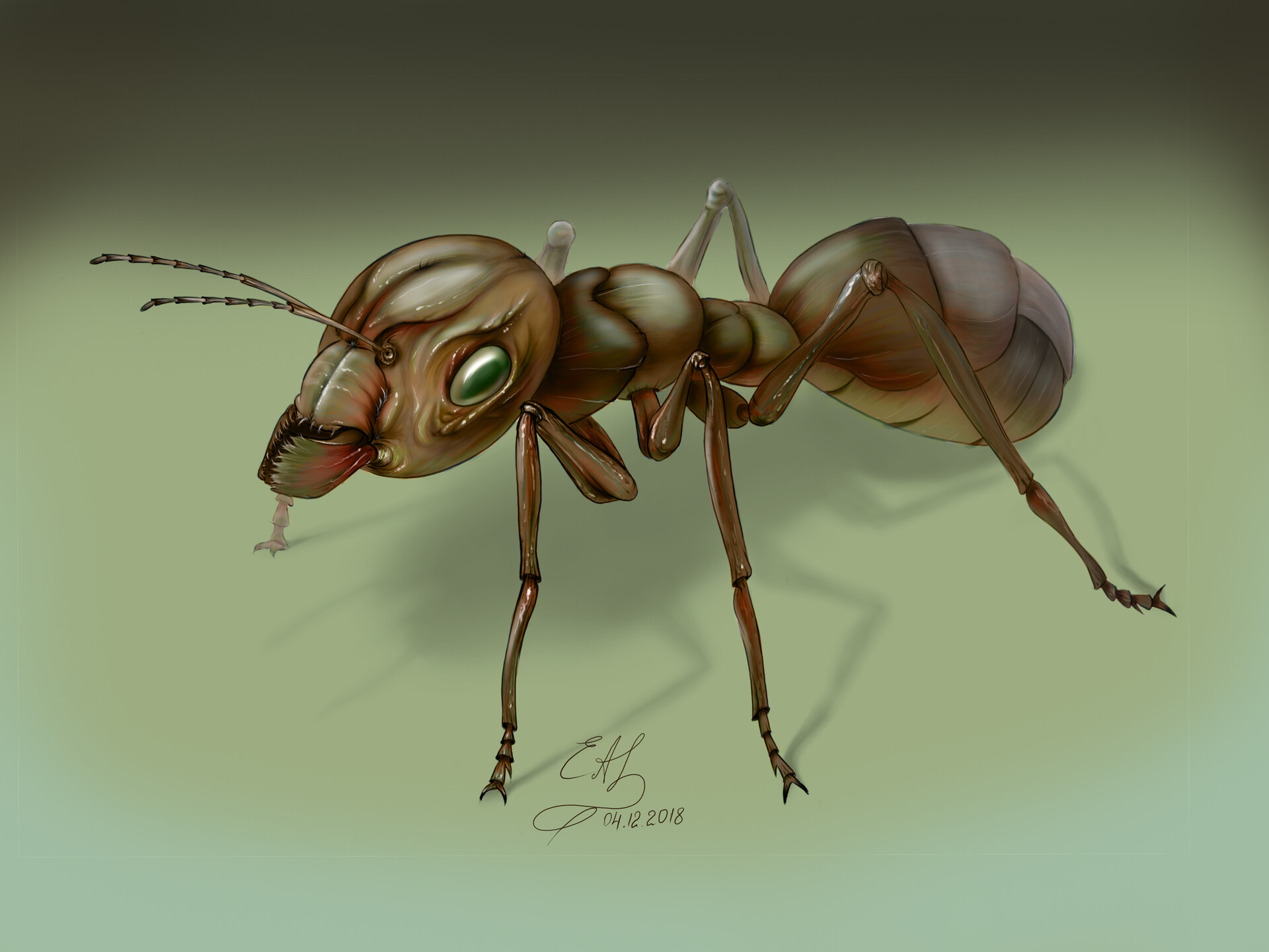 ArtStation - Fantasy Ant